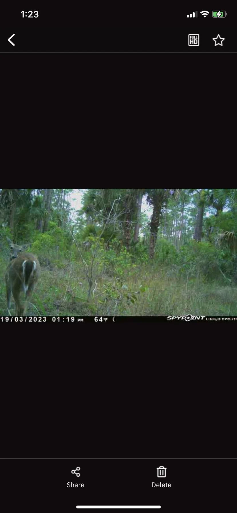 Wild Angle on my camera | Scrolller