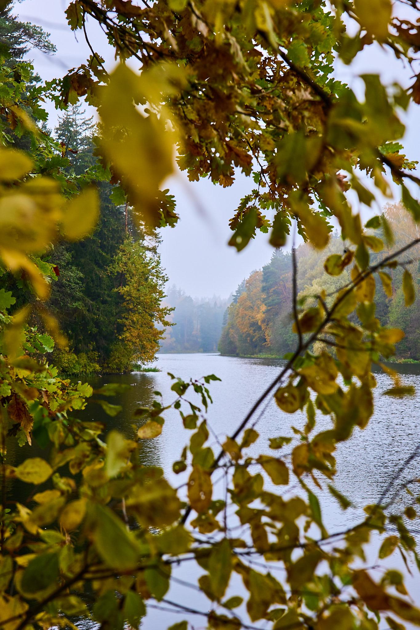 Squeezed between the leaves [OC] | Scrolller