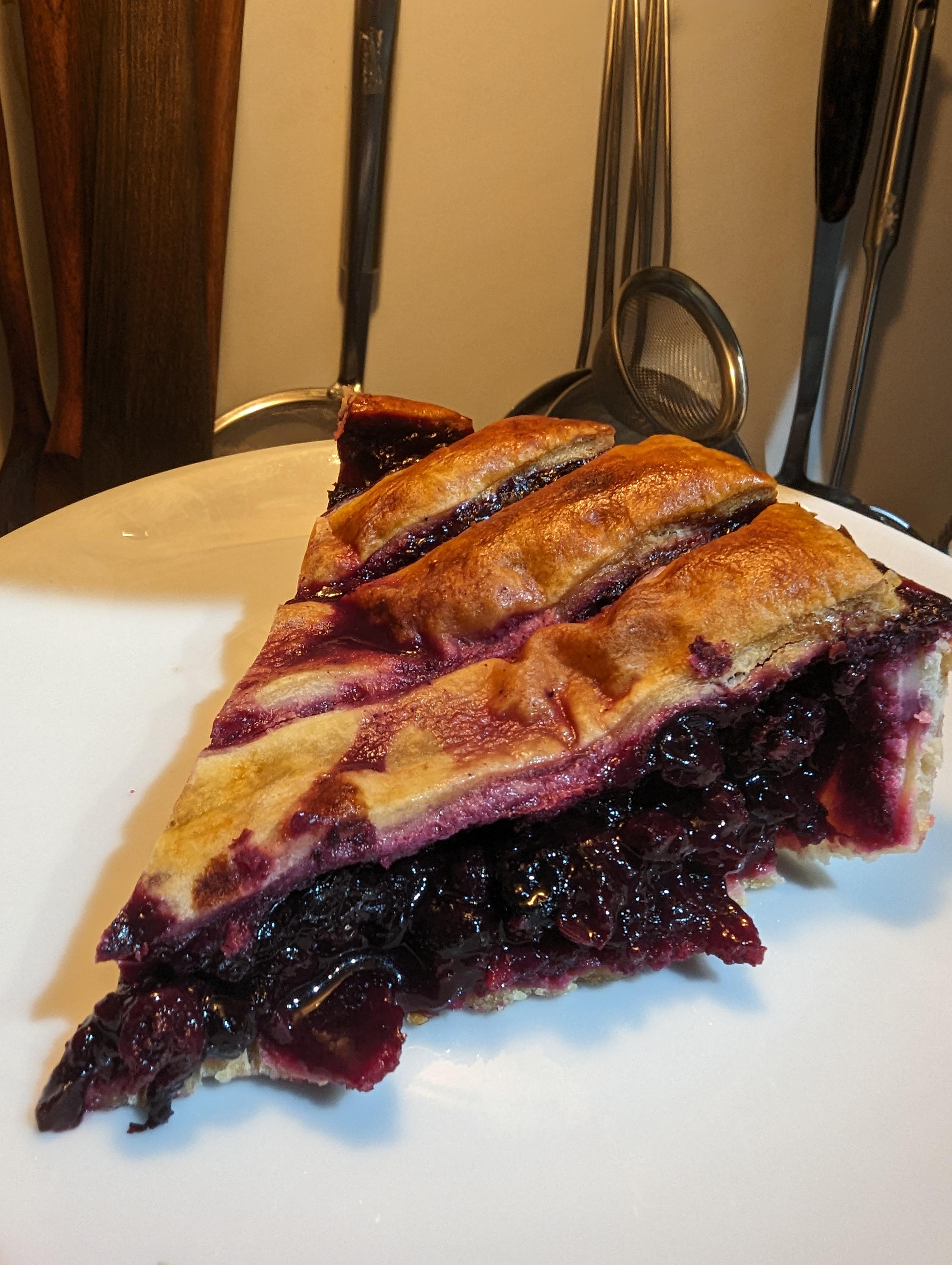 [homemade] wild blueberry, haskap huckleberry pie | Scrolller