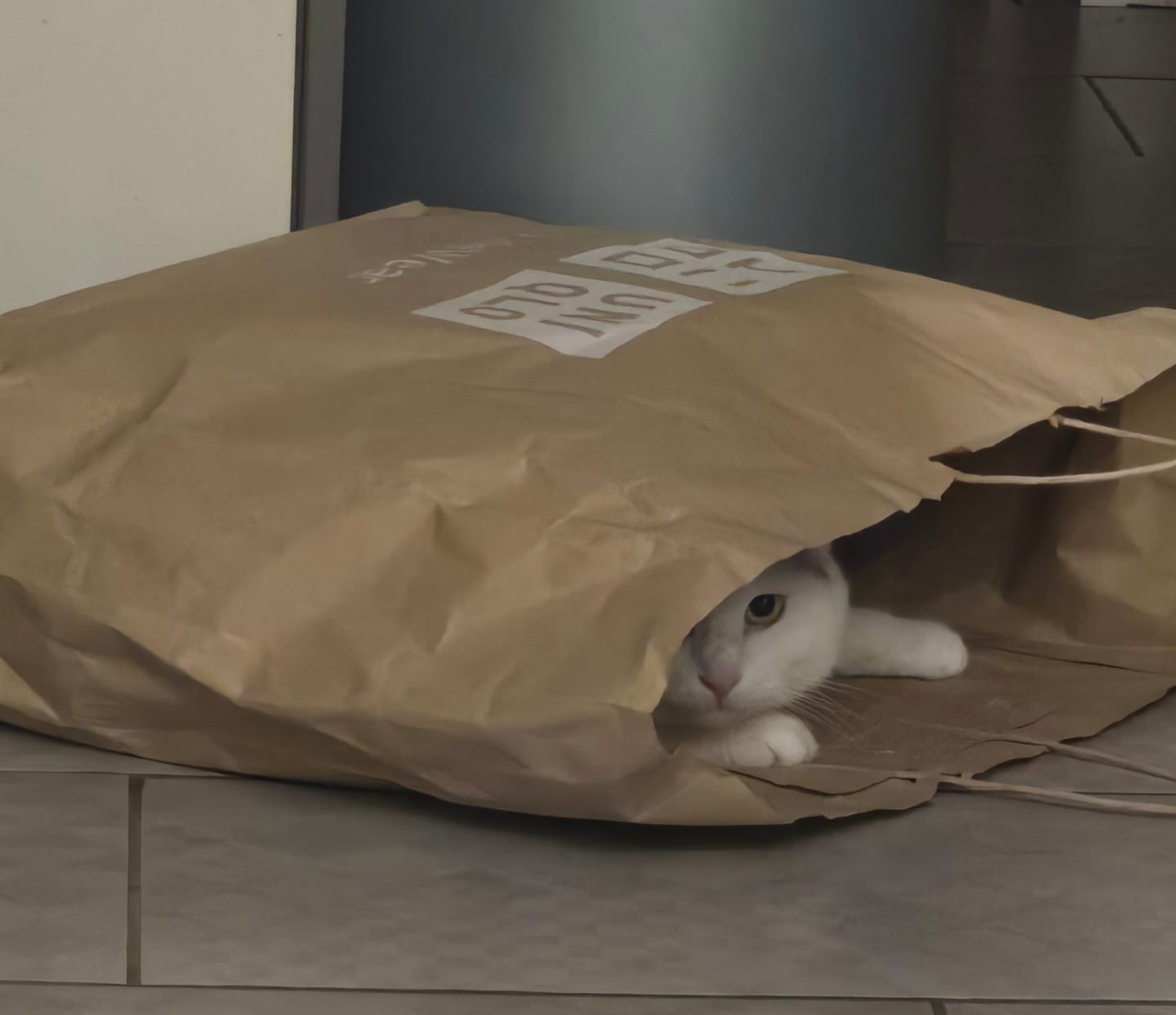 New hiding spot and playground | Scrolller