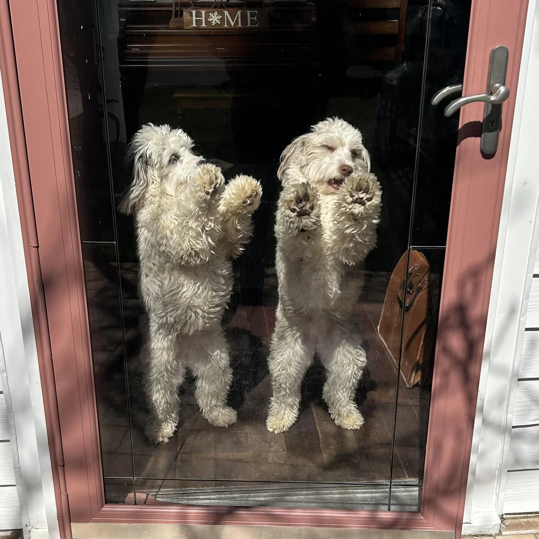 Happy Dance… | Scrolller