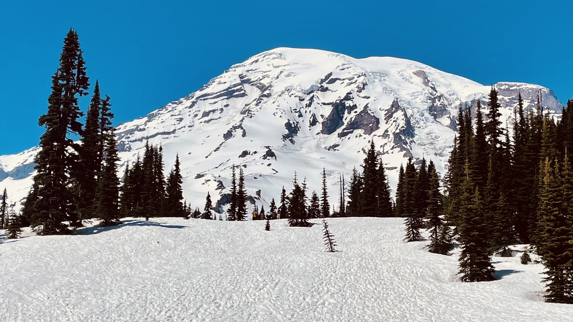 My Rainier, Paradise, WA [1918x1079] [OC] | Scrolller