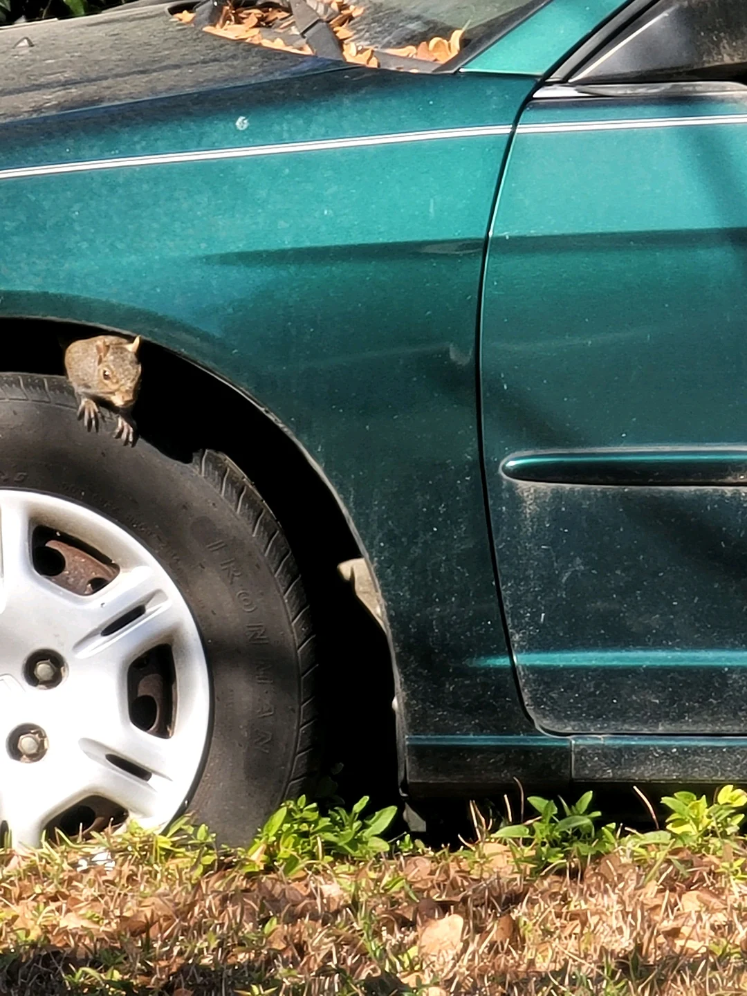 Mechanic at work | Scrolller