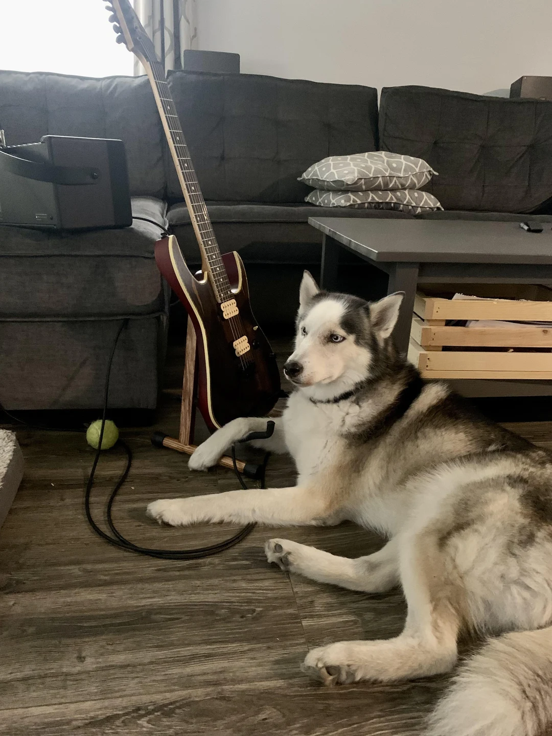 Chillin’ after a ruff day of guitar practice | Scrolller