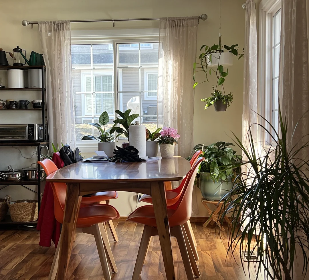 My dining room with morning sun! | Scrolller