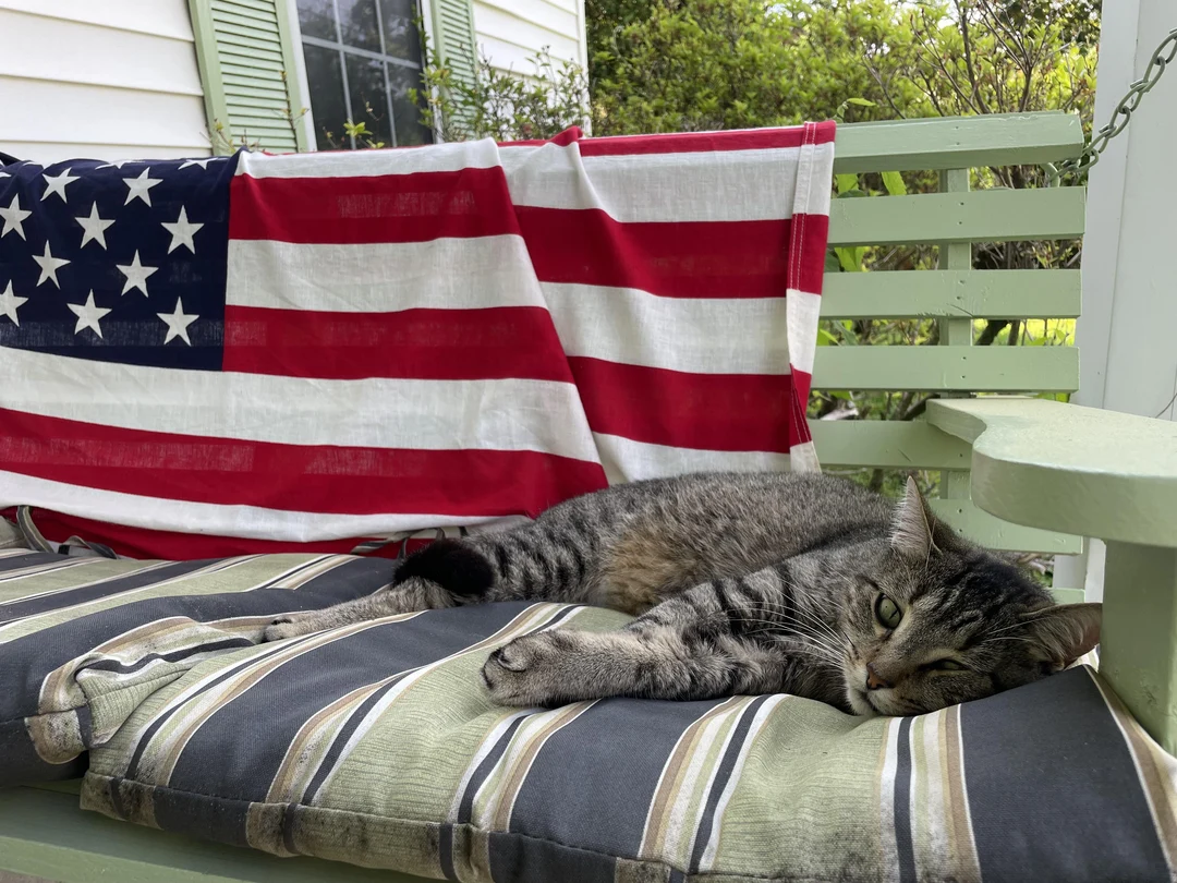Miss America enjoying her afternoon nap | Scrolller