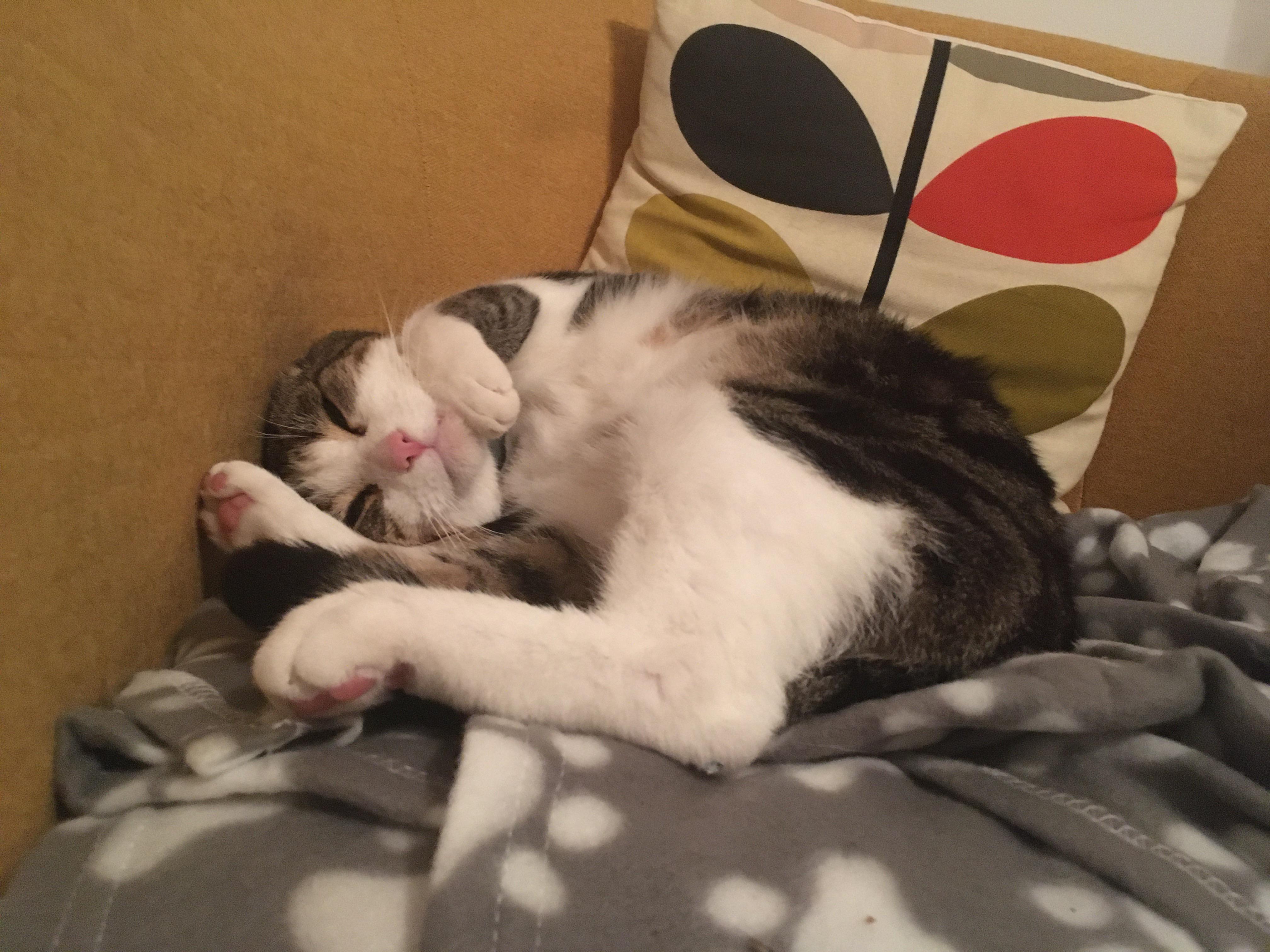 How is this comfortable? | Scrolller