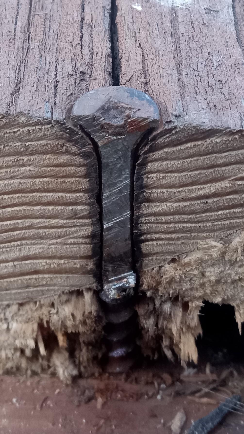 This accidental cross section shows how the wood degrade around the screw. | Scrolller