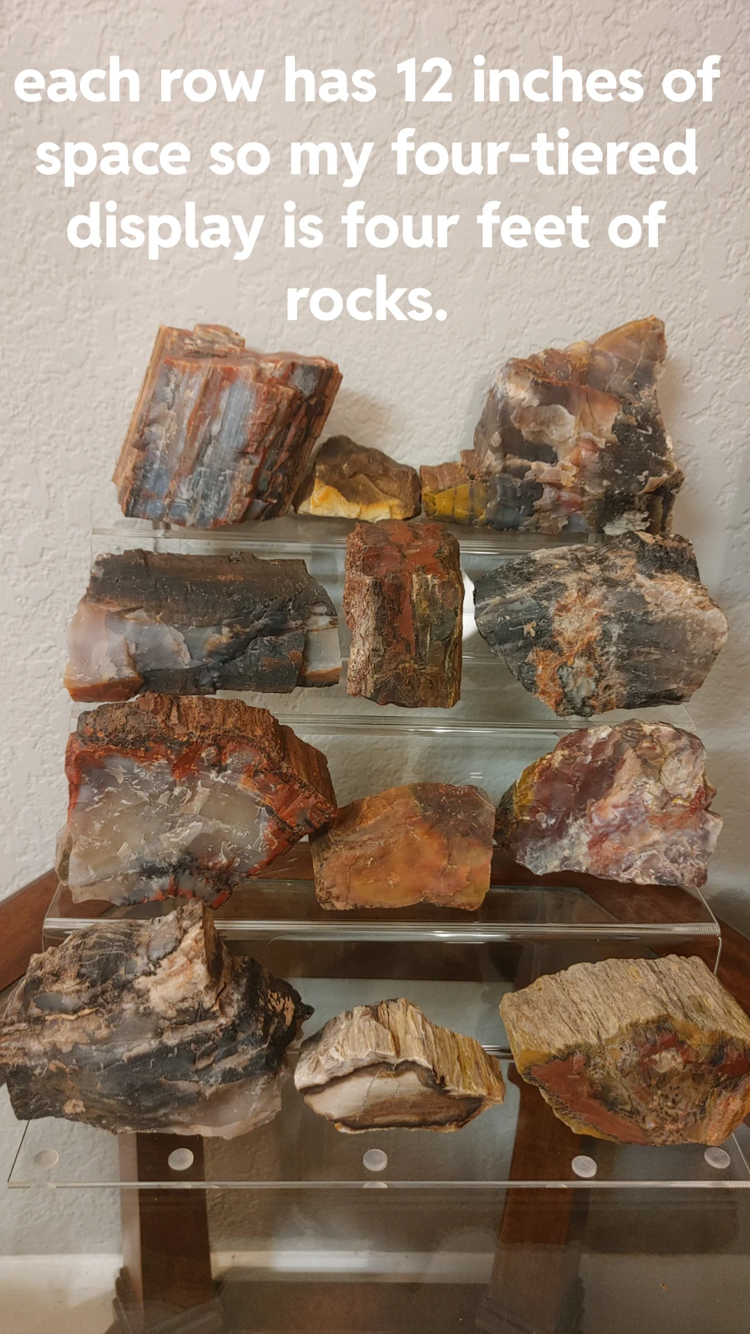 my collection of Arizona rainbow petrified wood, lots of eye candy! | Scrolller