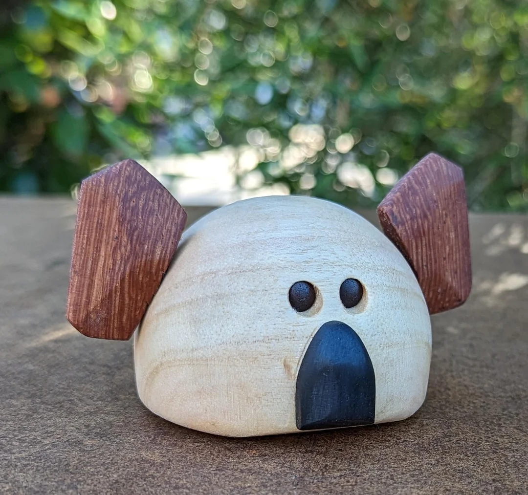 A koala in my backyard (i am in California - is this normal?) | Scrolller