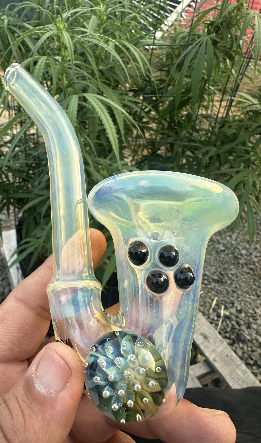 New glass | Scrolller
