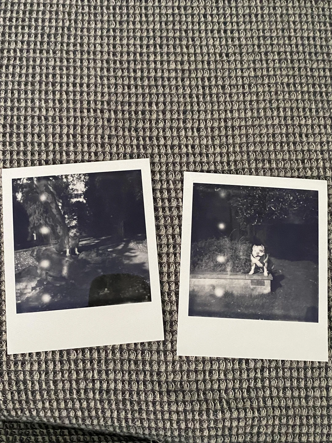 Whats the problem with my Camera that it gives 4 white dots? | Scrolller