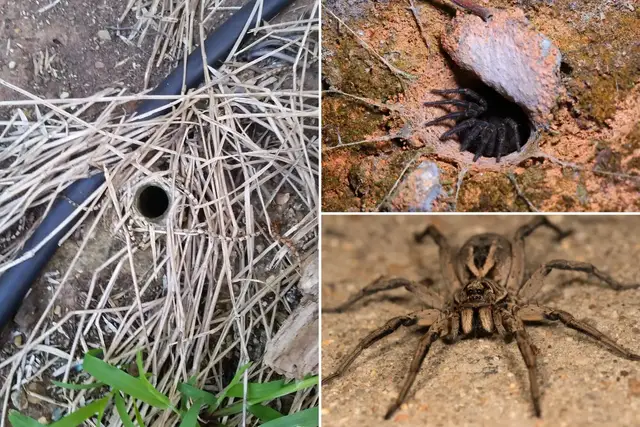 It might bite you... but it's worth the risk | Scrolller