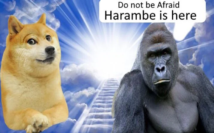 RIP DOGE | Scrolller