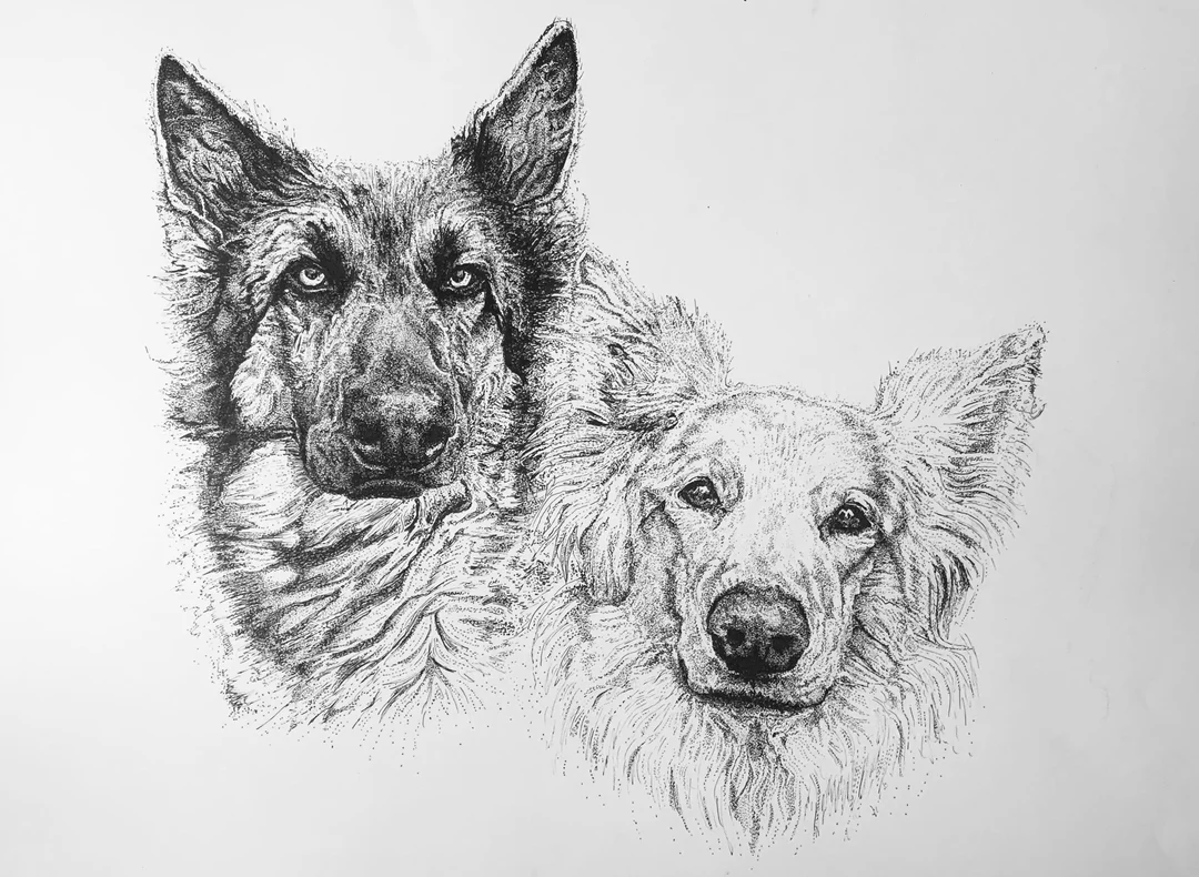 Stoic vibe | Scrolller