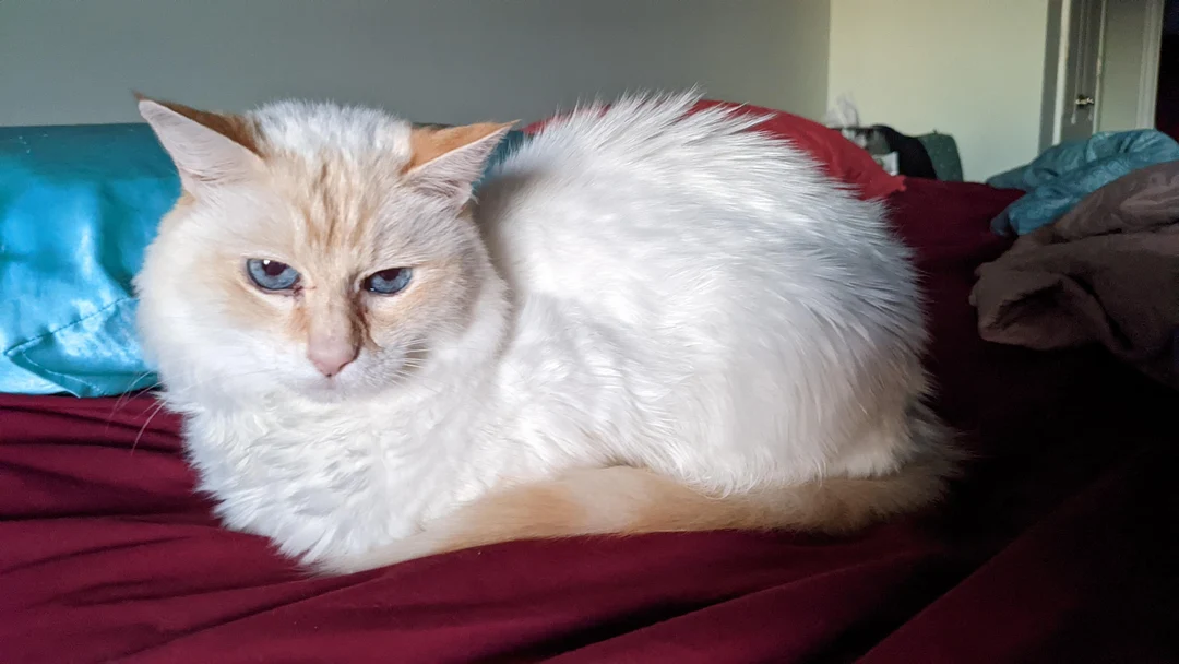 my loaf | Scrolller