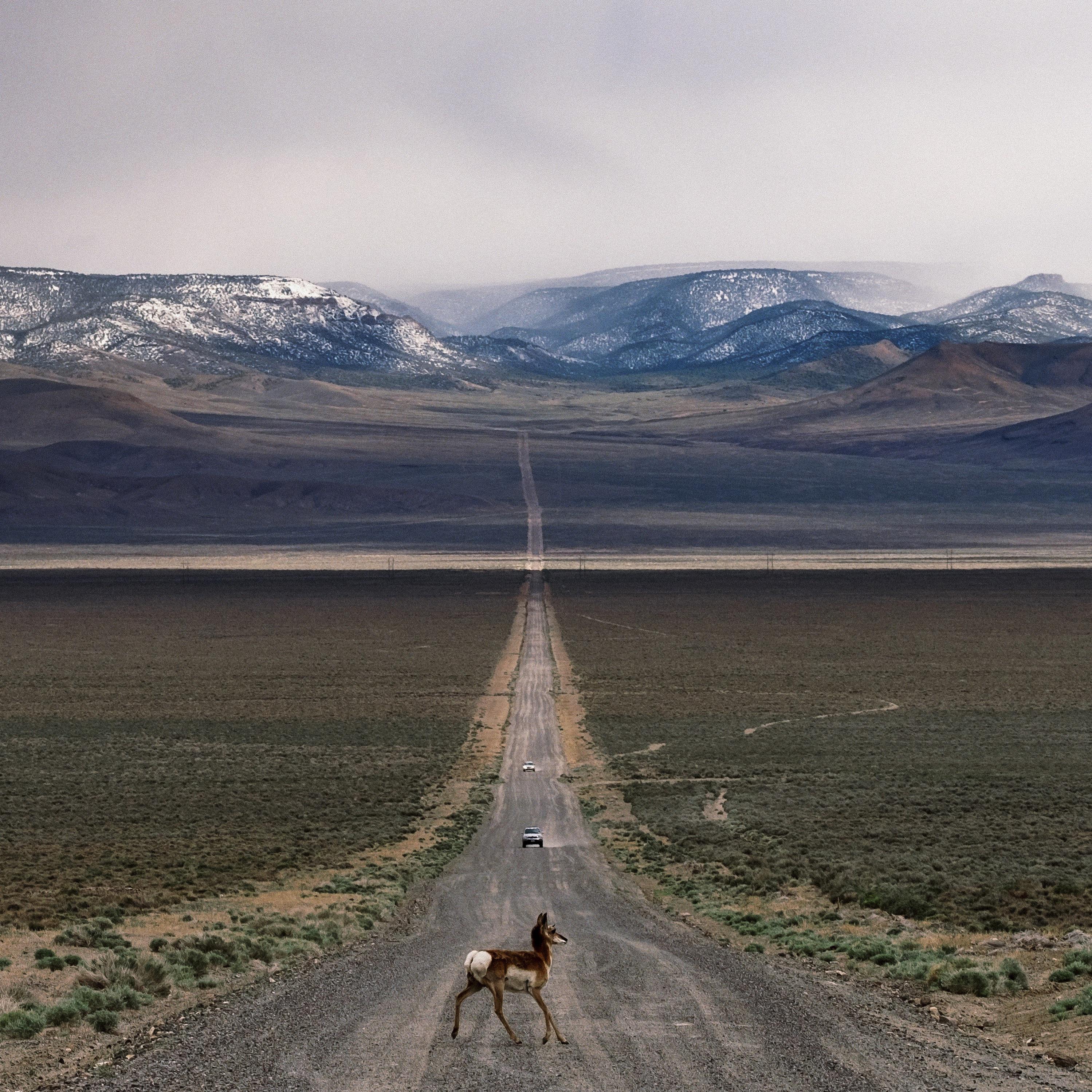 Discover more like MostBeautiful: The Loneliest Roads of Nevada - [OC] and Related Content ...