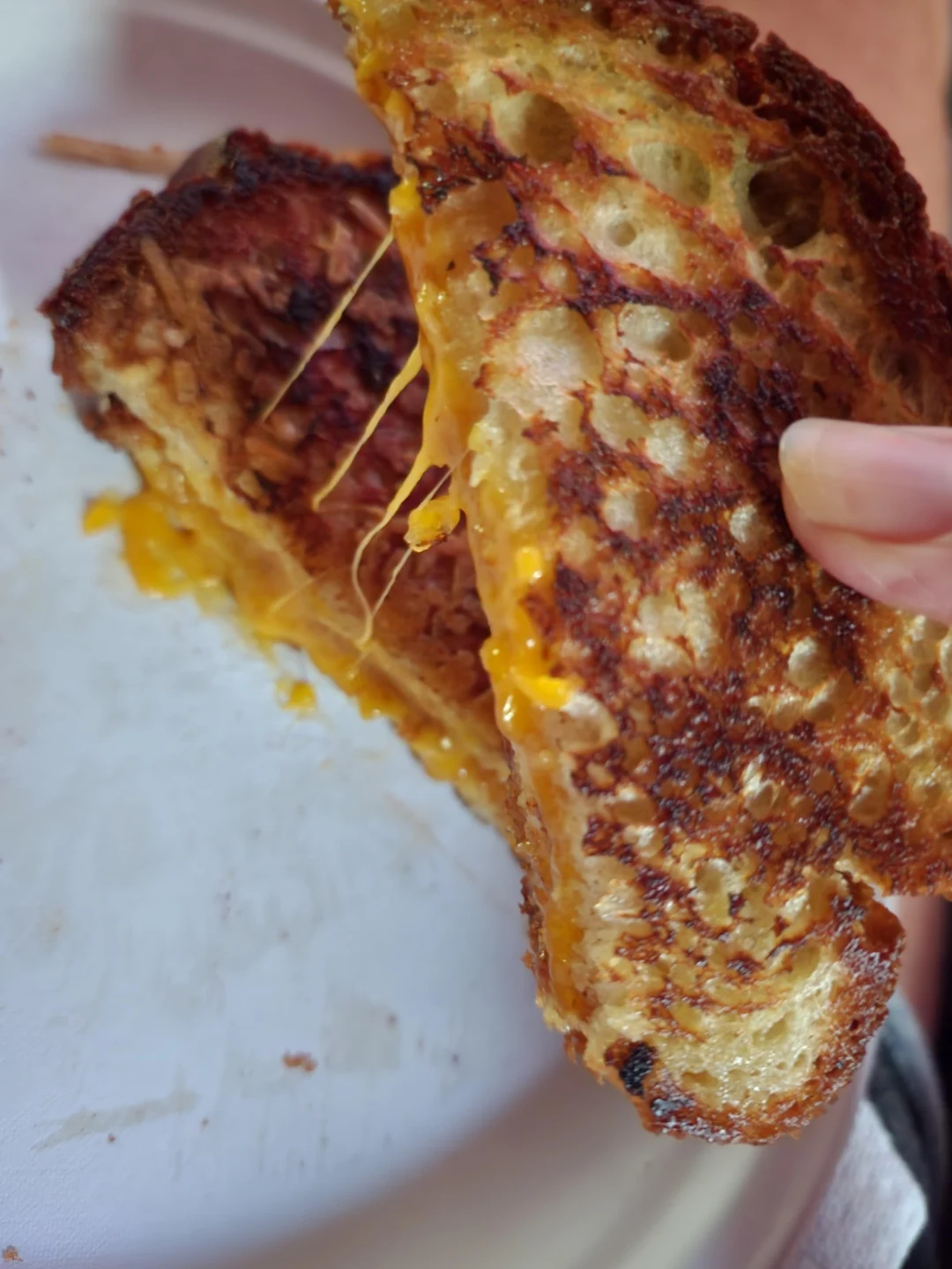 Mix of vegan and real cheddar cheese, outside slightly crusted with Parmesian | Scrolller