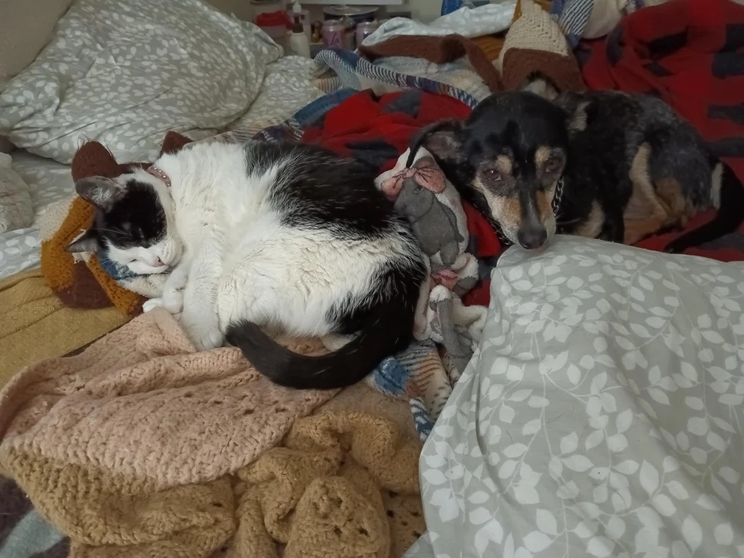 Snuggled | Scrolller