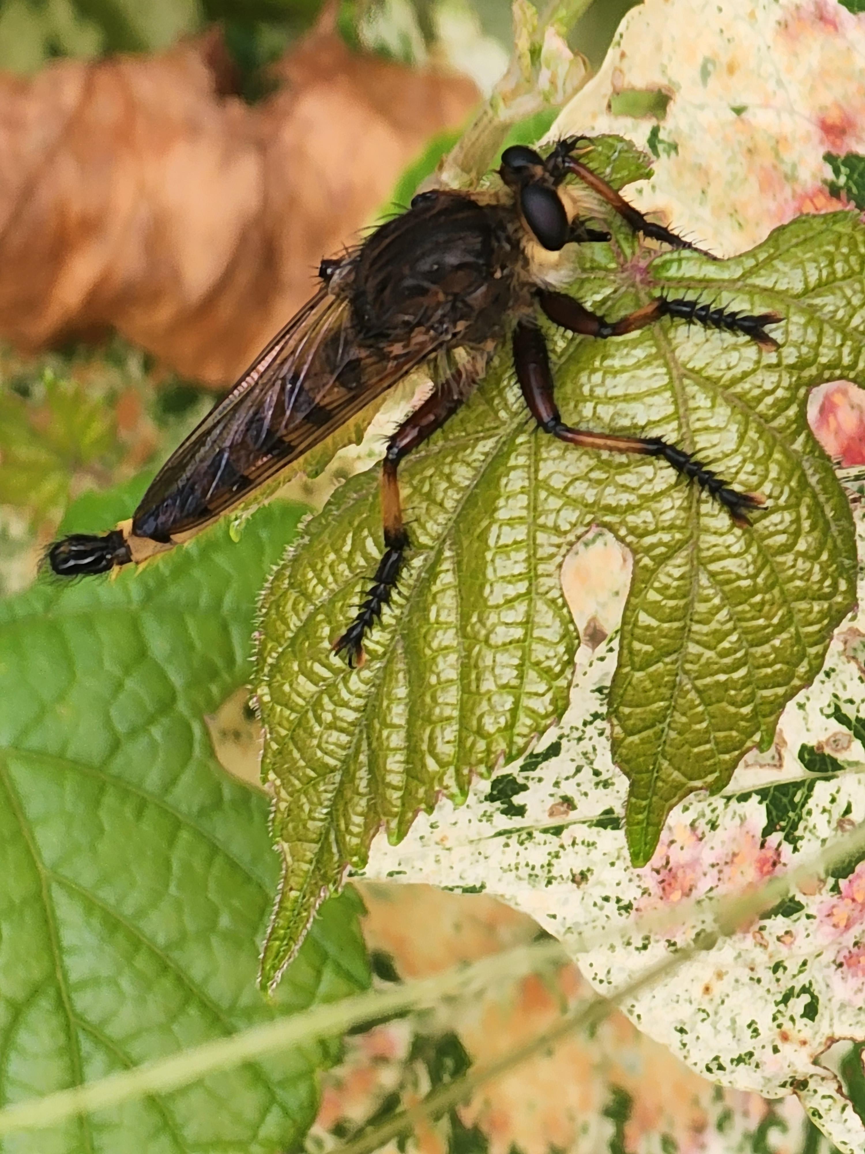 What is this? Central ohio | Scrolller