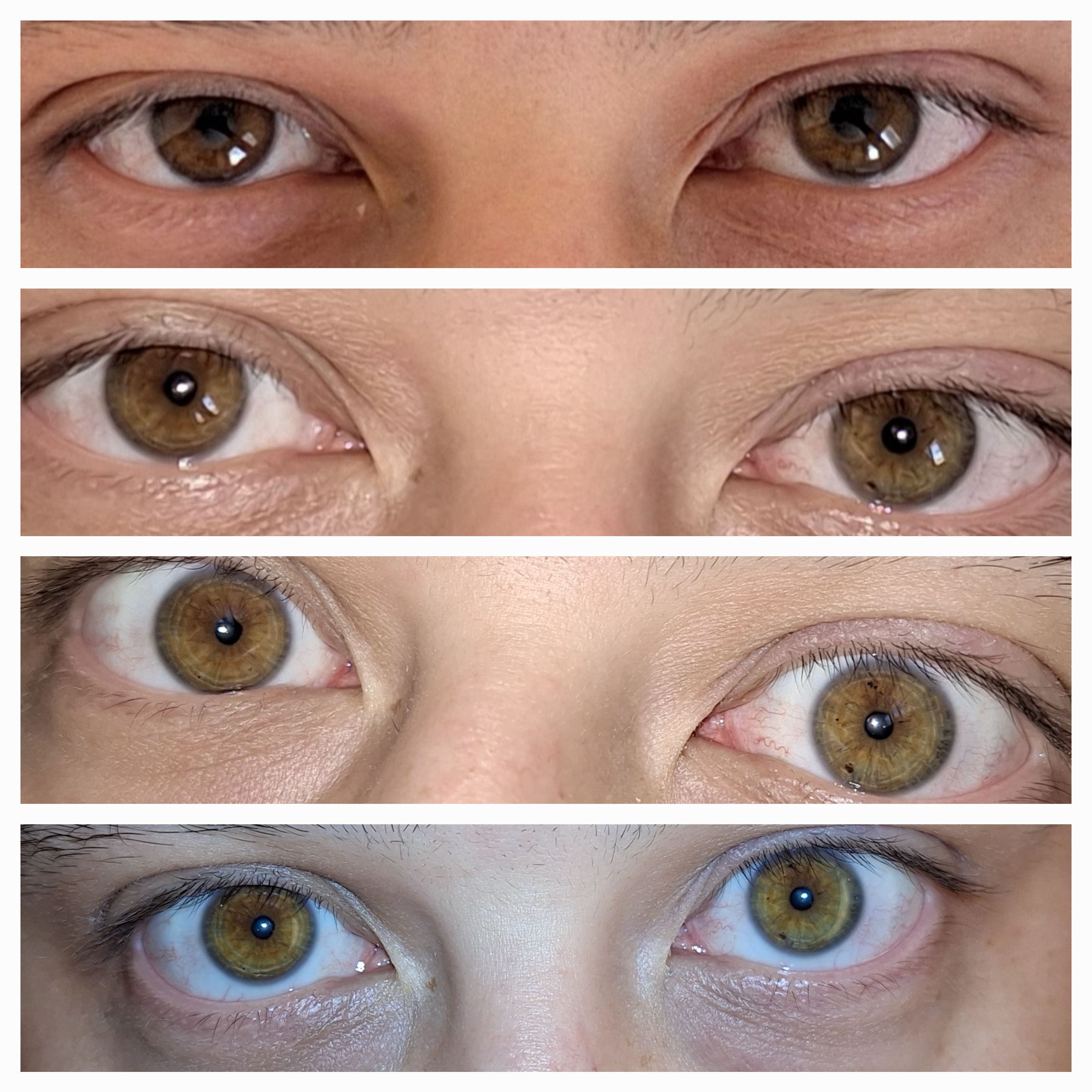 Light brown? Hazel? Amber? | Scrolller