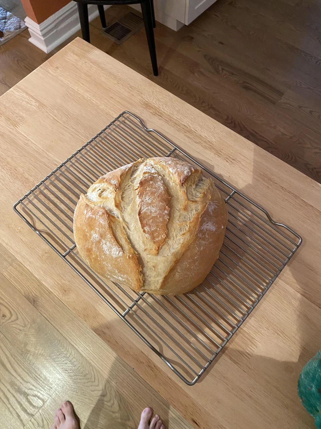 First home loaf ever! Very happy with how this came out. | Scrolller