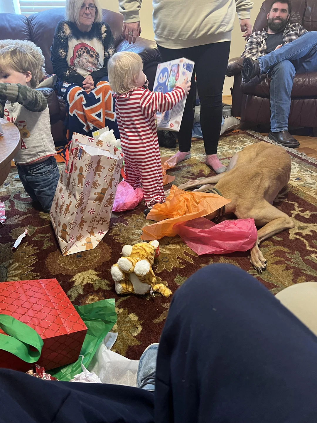 Spot the Hound | Scrolller