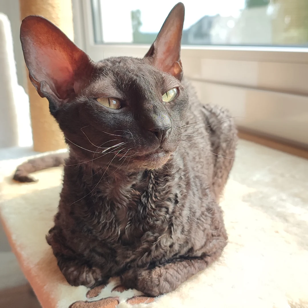 Burned loaf | Scrolller