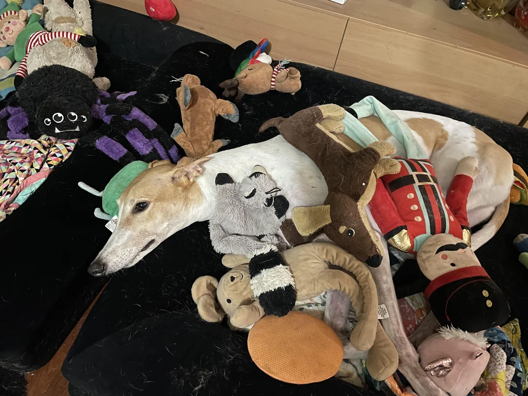 Toy gremlin.. | Scrolller