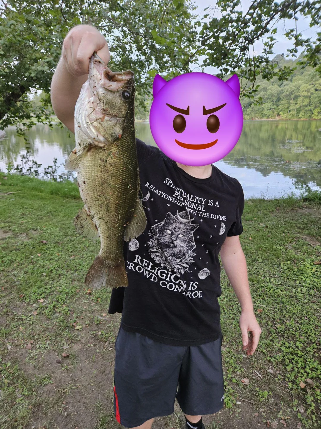 New PB Bass | Scrolller