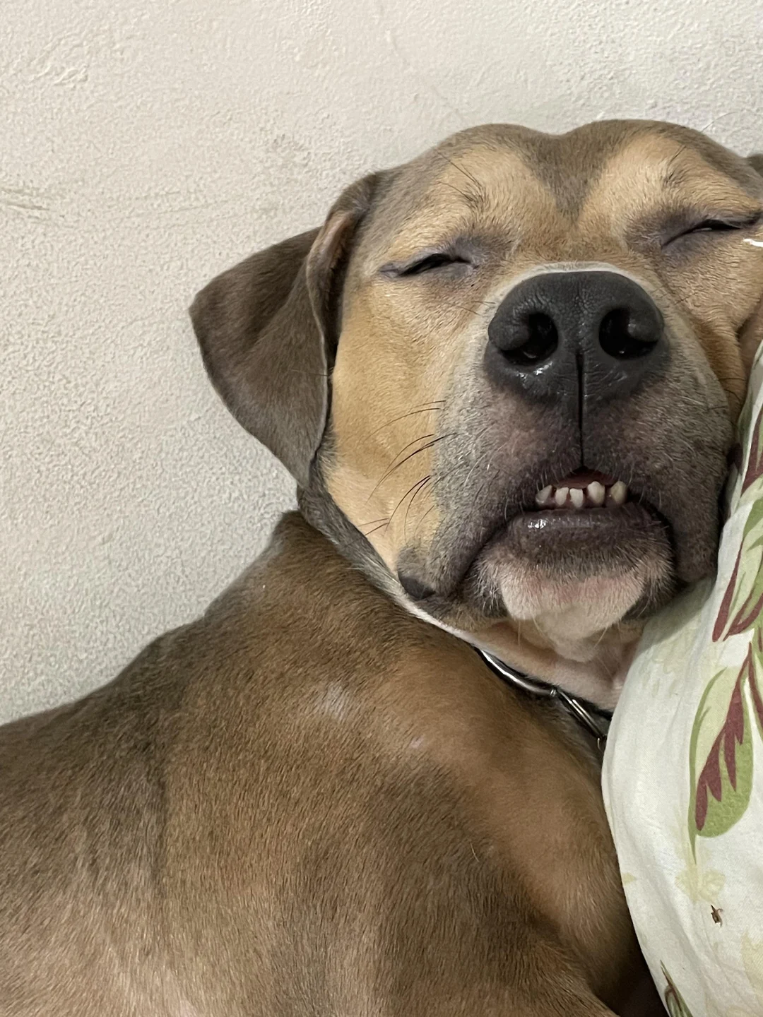 I think she really had a very tiring workday. | Scrolller