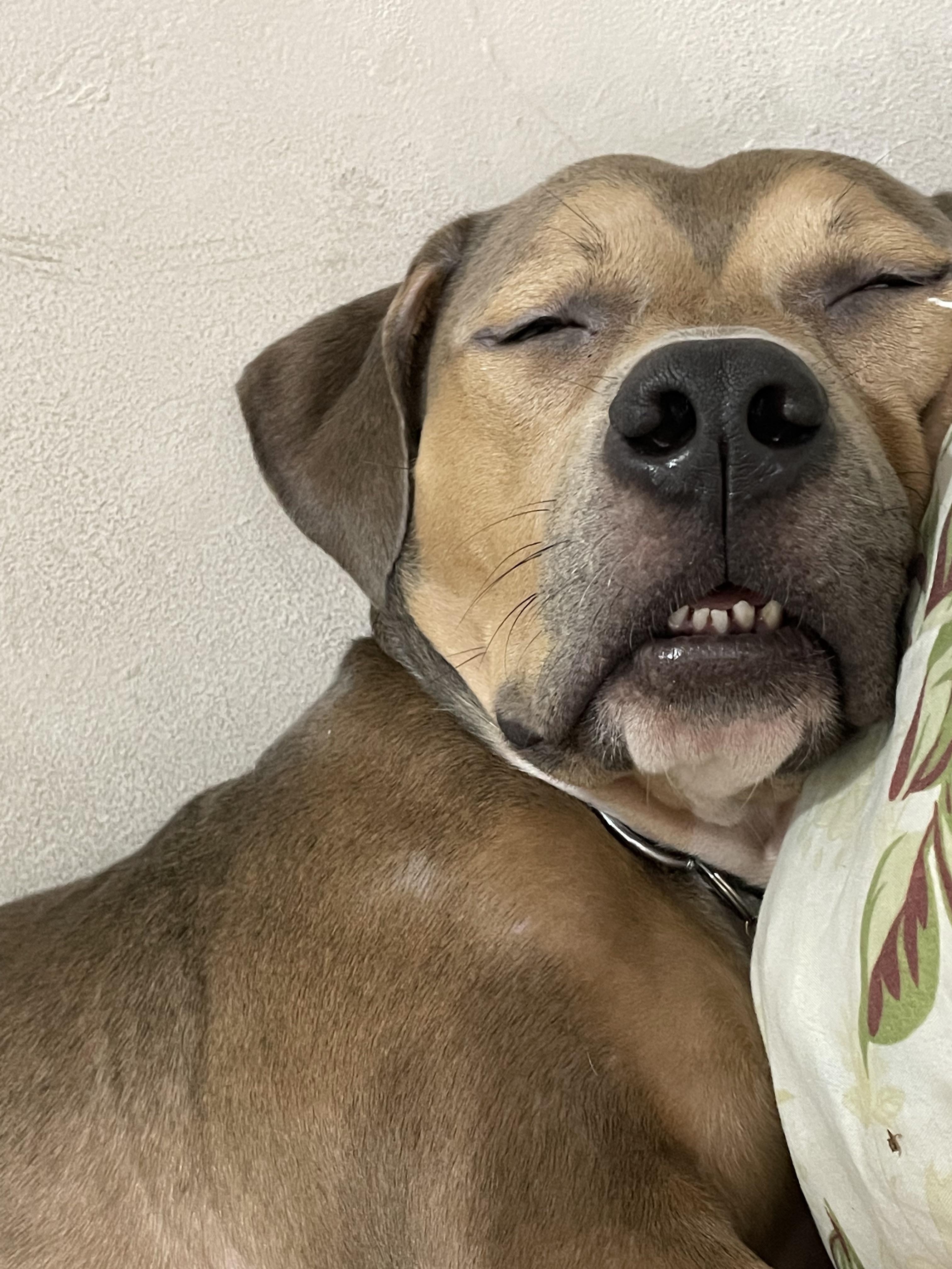 I think she really had a very tiring workday. | Scrolller