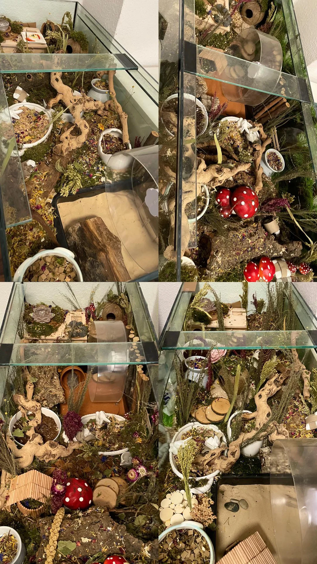 4 set ups | Scrolller