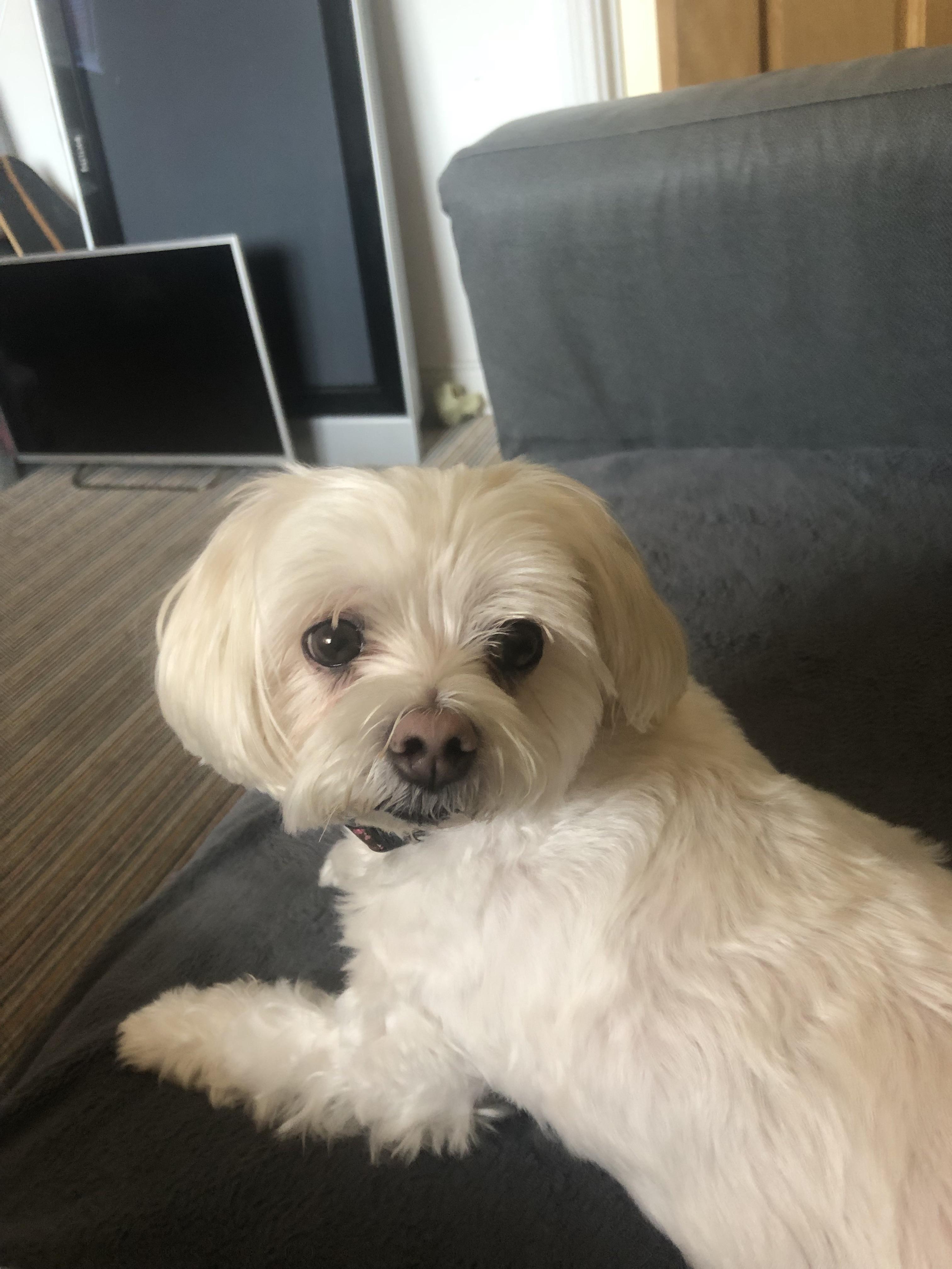 meet coco | Scrolller