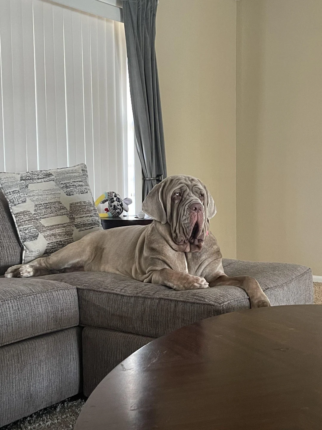 From one year ago, my birthday picture.. Oh Carmela Marie.. | Scrolller