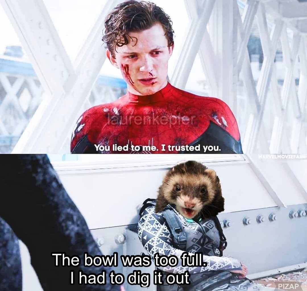 Trust is broken | Scrolller