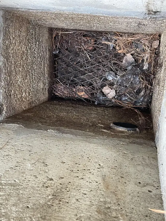 Trying to fix a leaky pond | Scrolller