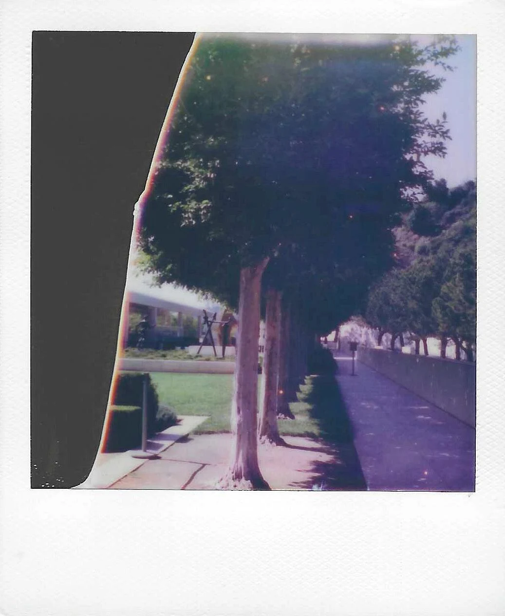 Why did this happen? (SX-70) | Scrolller