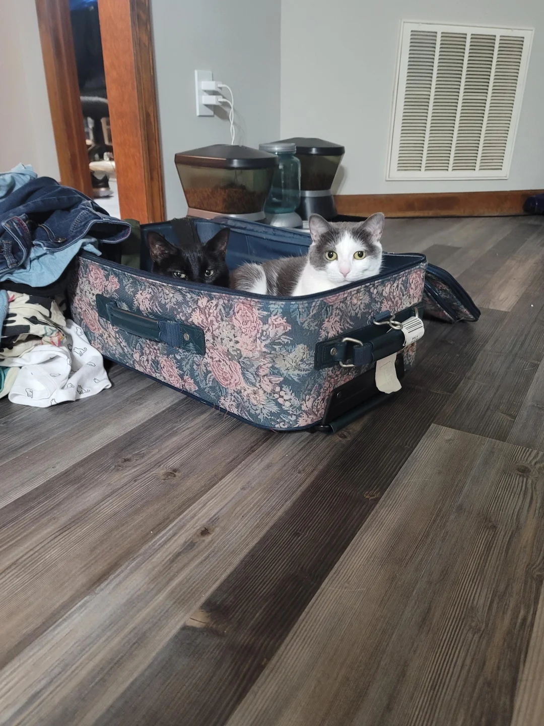 I think TSA would understand. | Scrolller