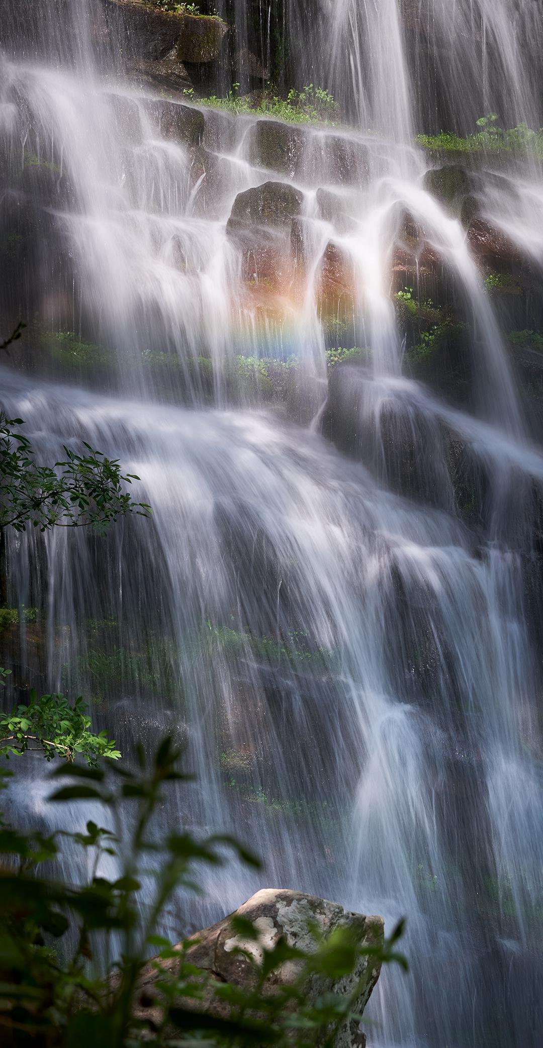 Forest Waterfall [OC] | Scrolller