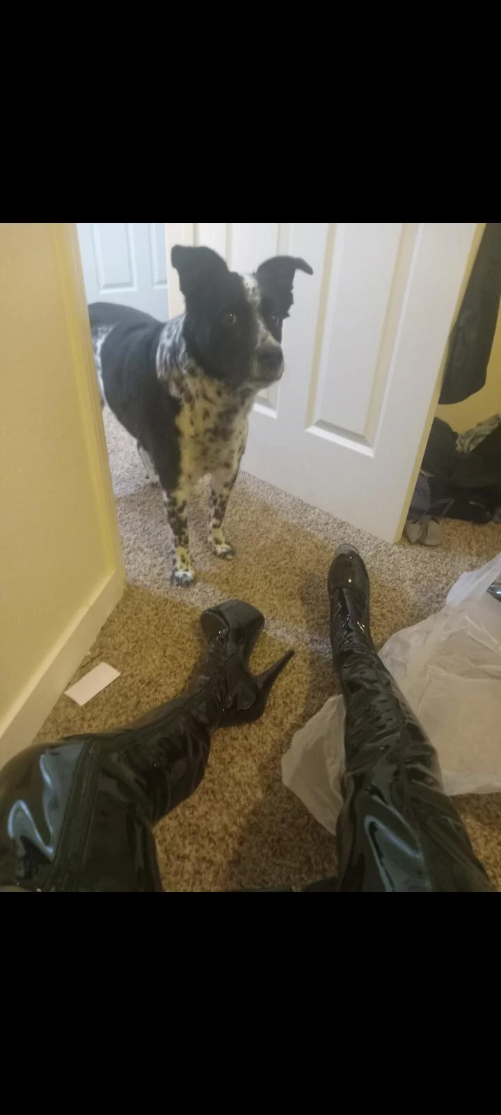 He does not approve | Scrolller