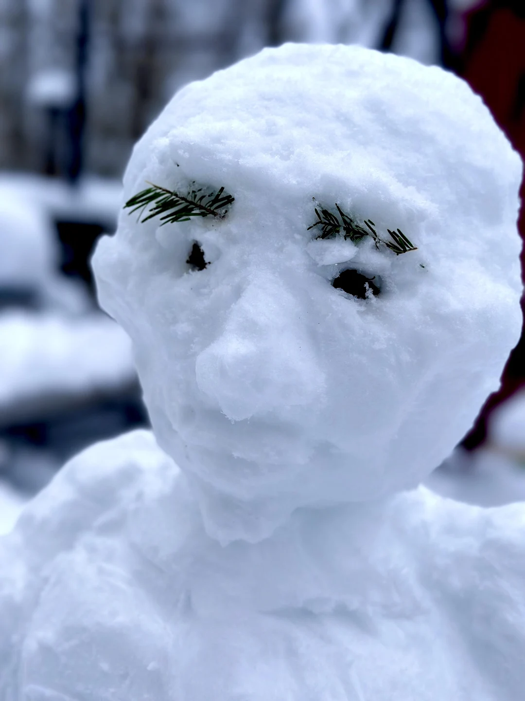 Giga snowman, me, snow, 2023 | Scrolller