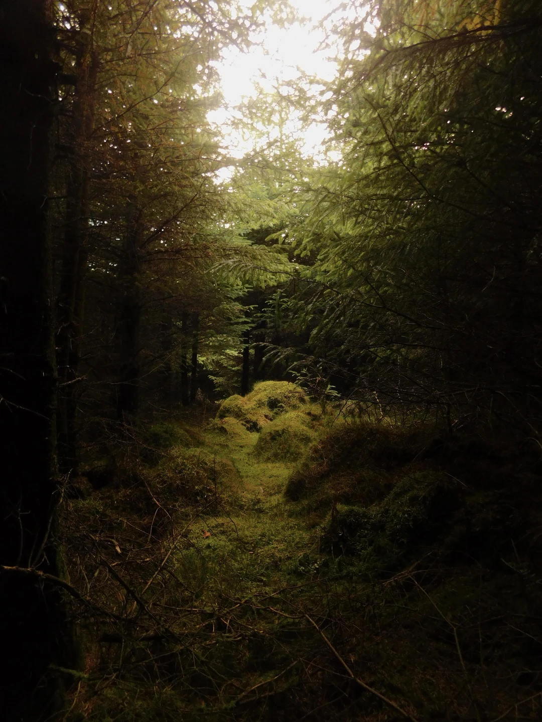 [OC] Falkland, Scotland [3456x4608] | Scrolller