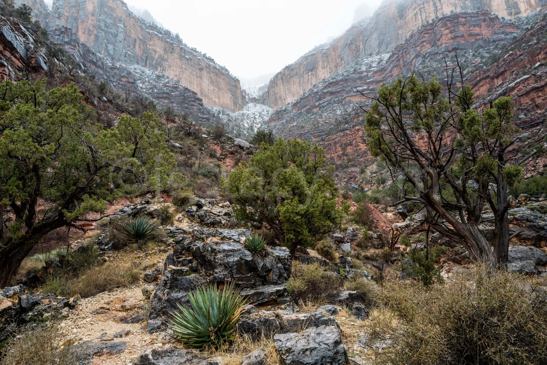 Bright Angel Trail. Grand Canyon. [OC] [8368x5584] | Scrolller
