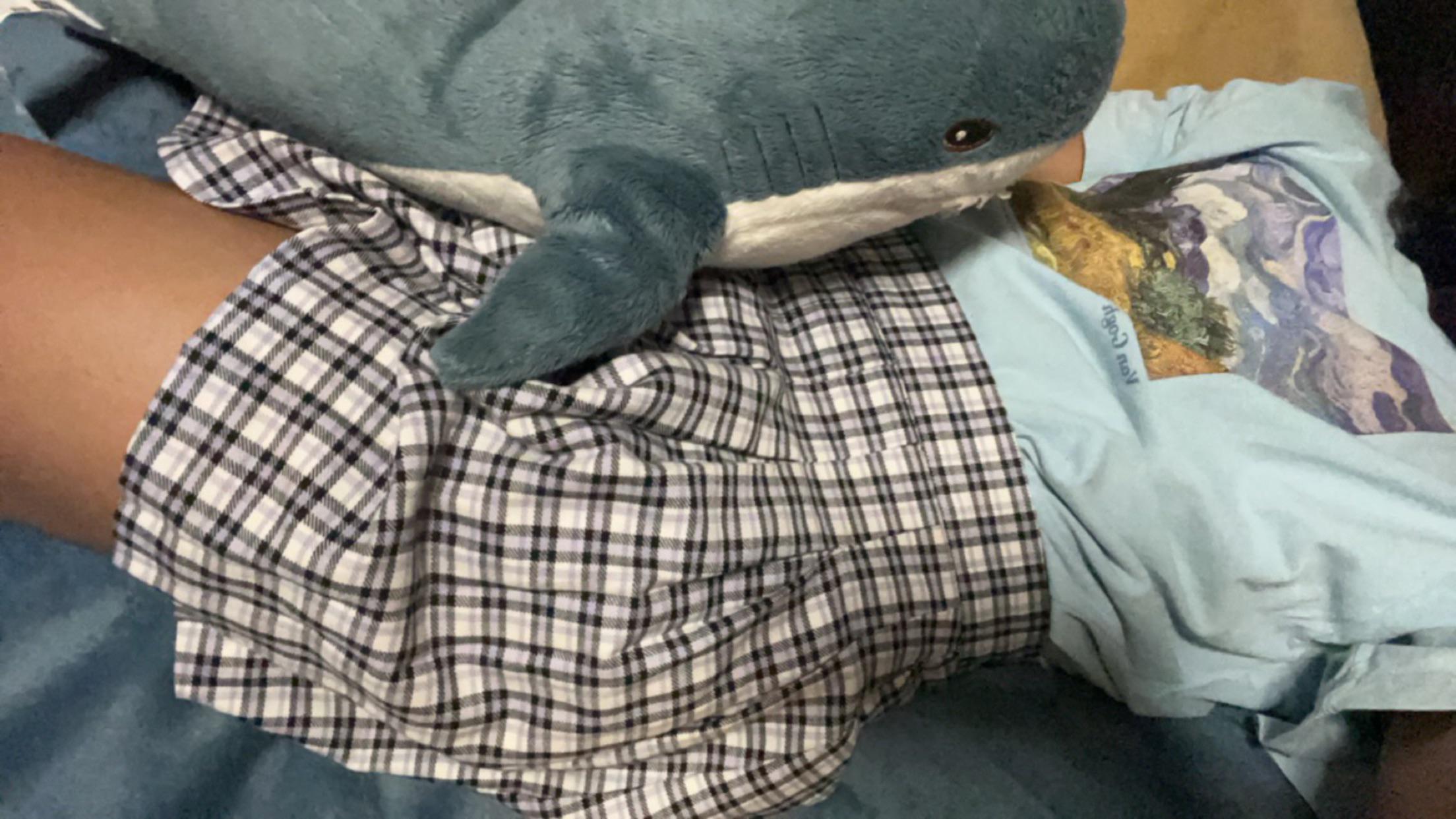 Blahaj :3 | Scrolller