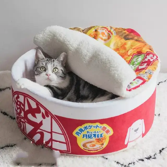 Cat in a blanket pot | Scrolller