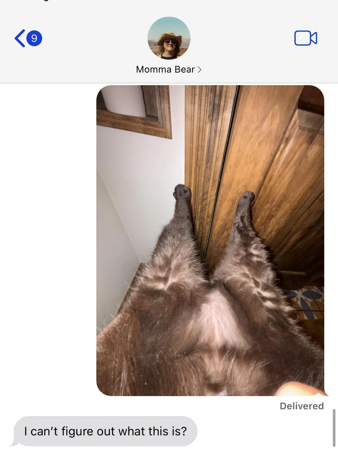 MOM it’s a HP | Scrolller