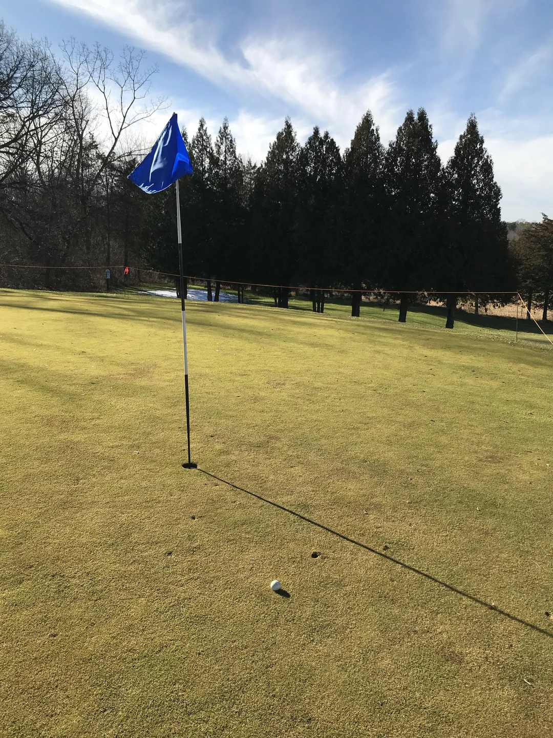 Repair ball marks | Scrolller