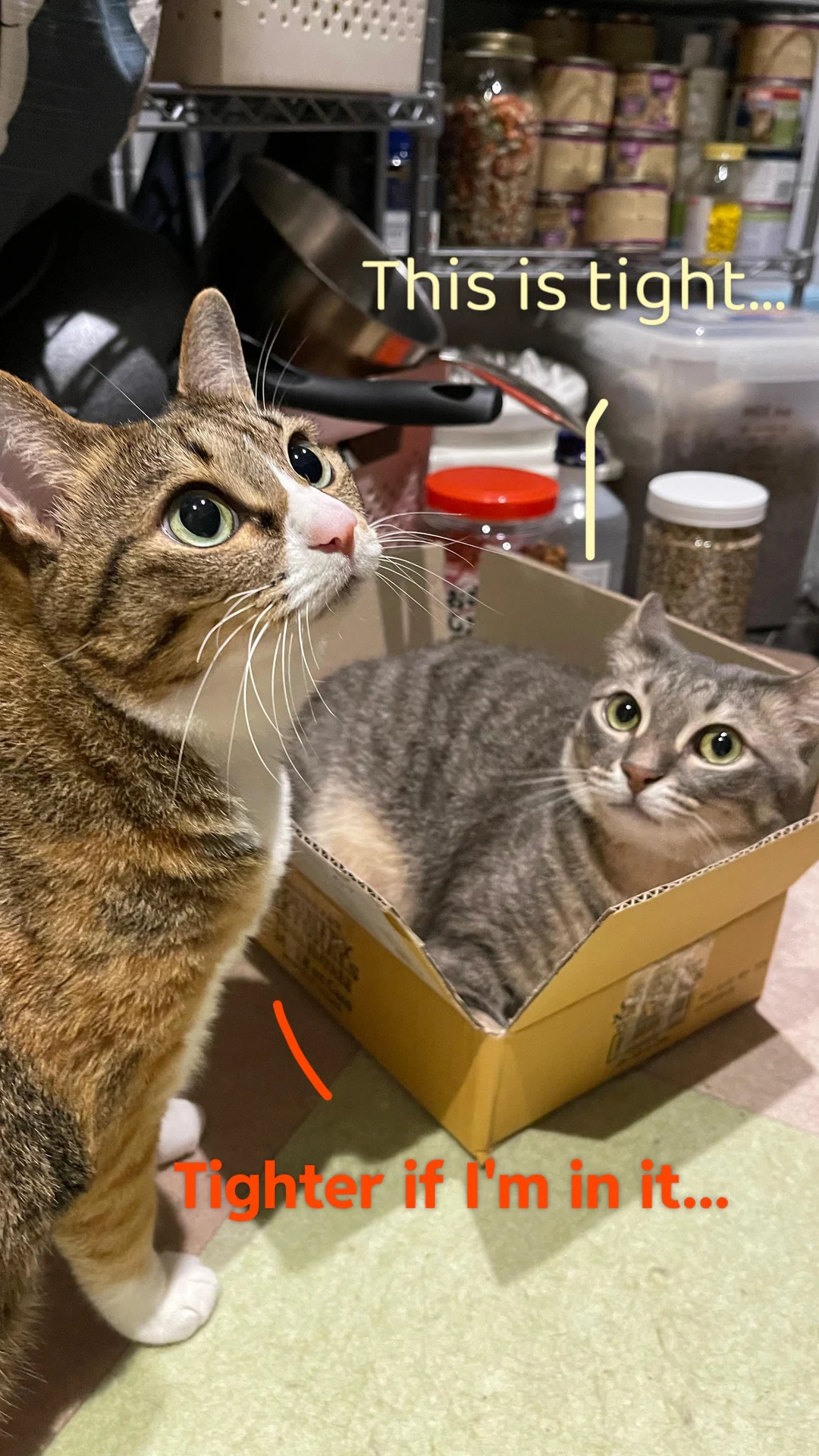 There's tight, there's tighter. | Scrolller