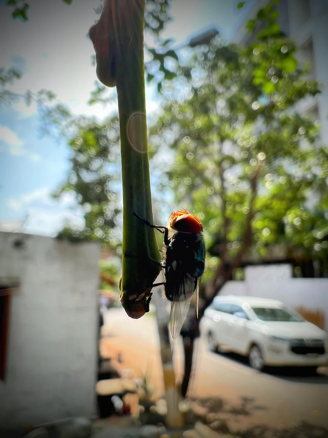 Shot on iPhone 13 Pro Max | Scrolller